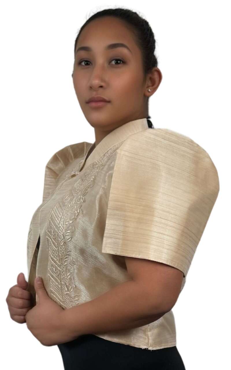 Filipiniana Dresses | Traditional Filipino - Handmade Kapamilya